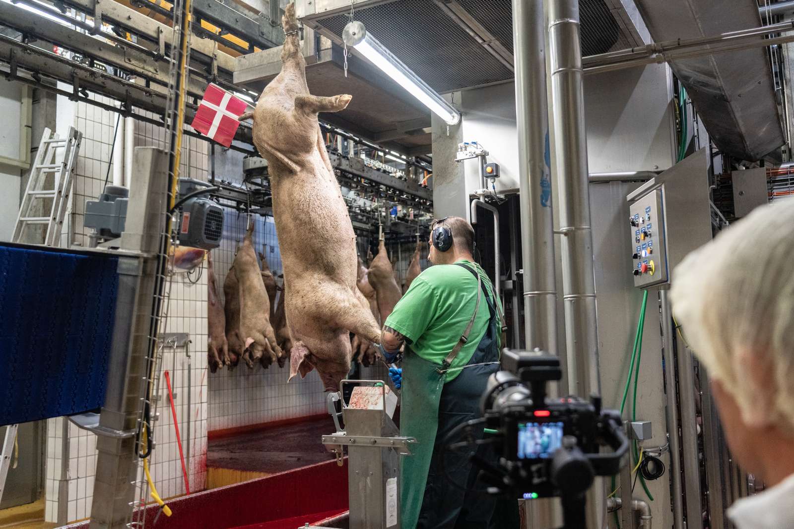 Skatmat i Sæby: Den hårdeste af alle dage